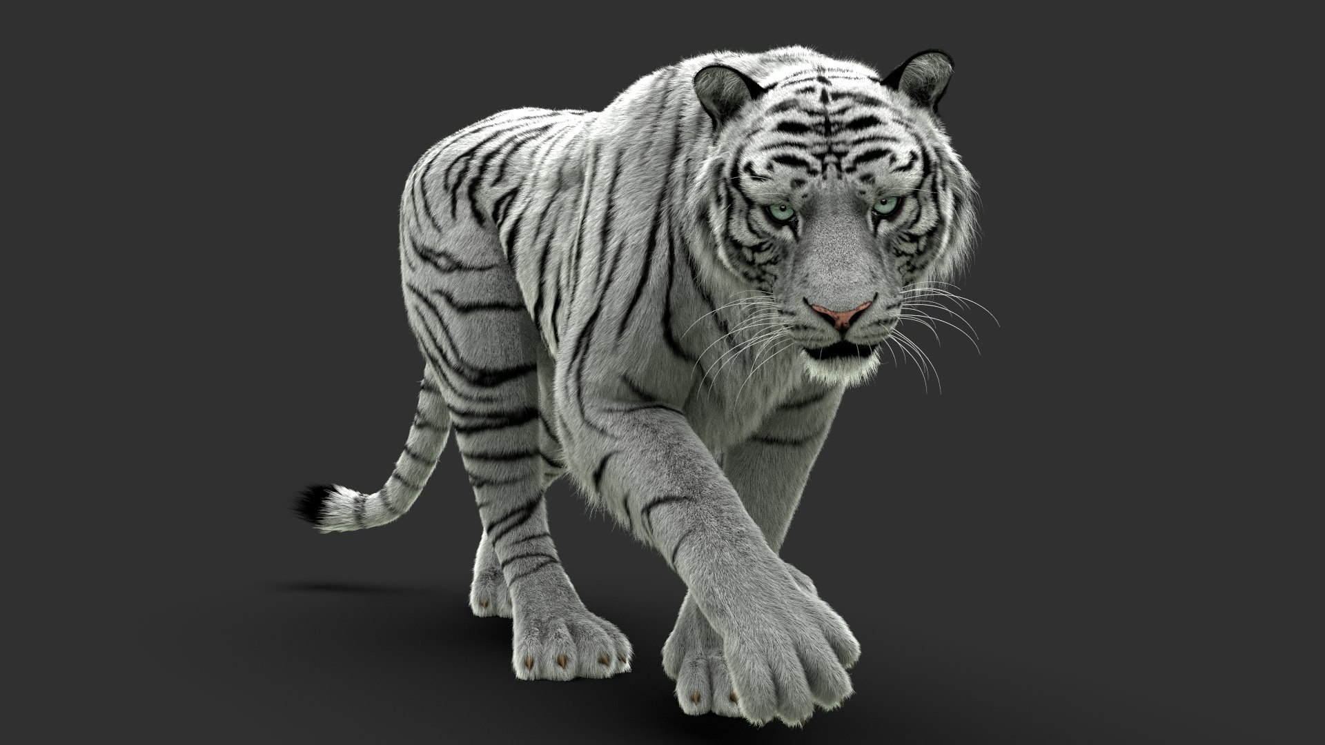 3D Model White Tiger 2 FUR Rigged - TurboSquid 1784938