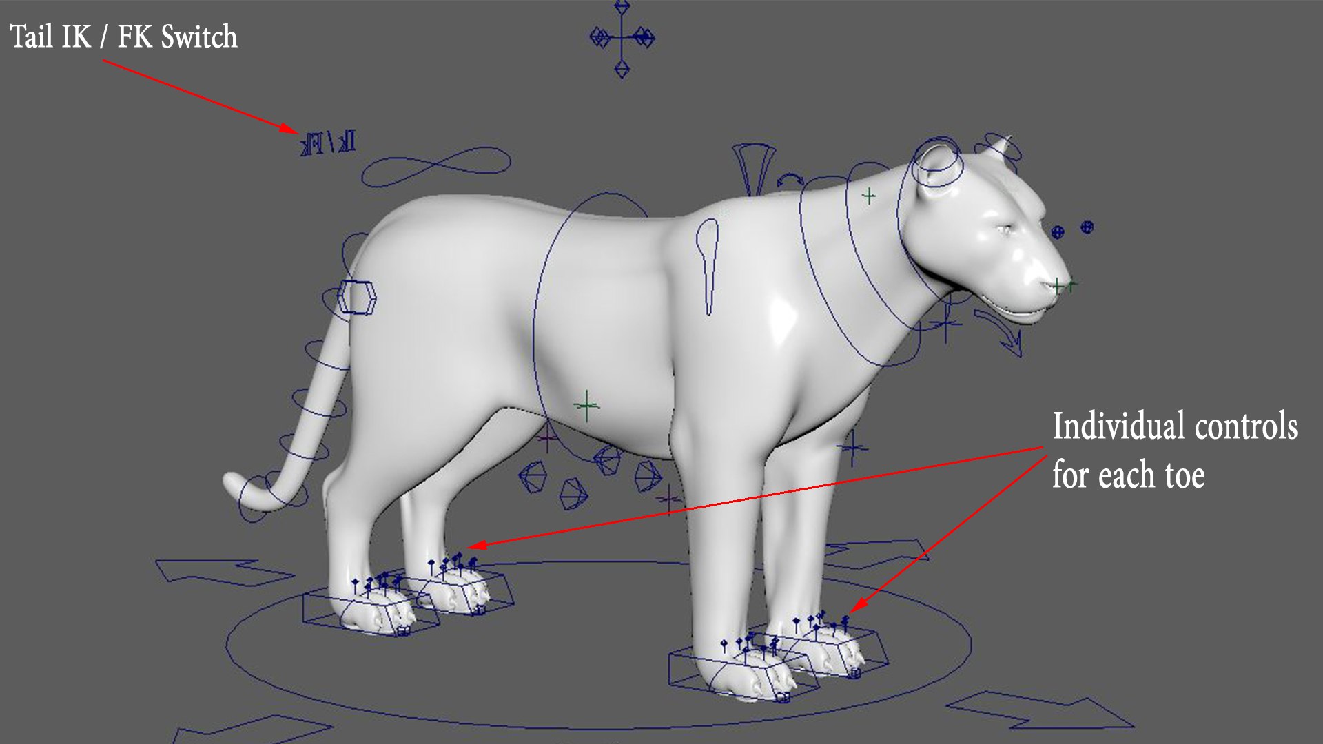 3D Model White Tiger 2 FUR Rigged - TurboSquid 1784938