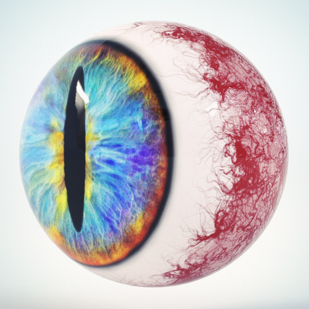 3D Cat Eye - TurboSquid 1427851