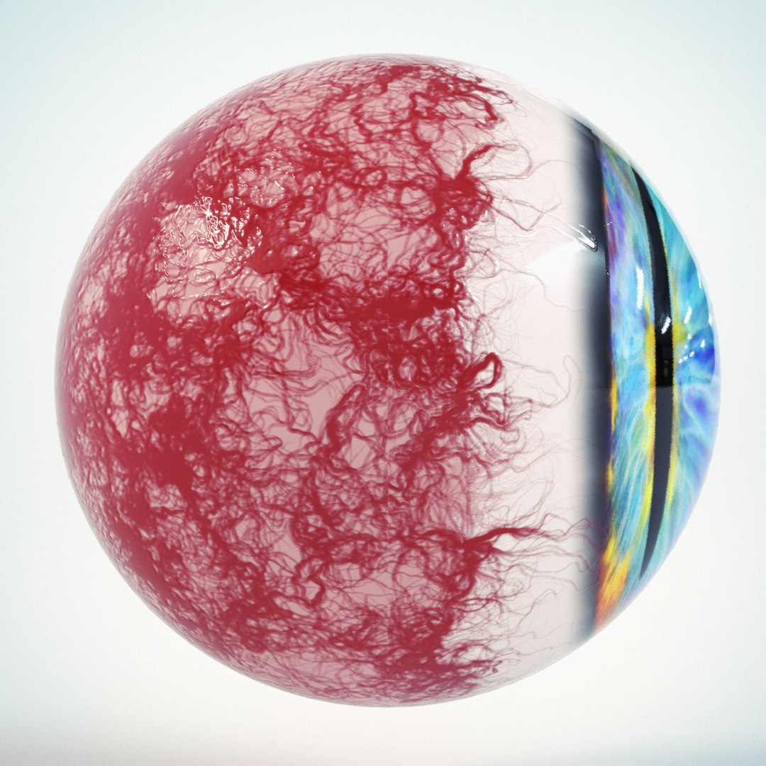 3D Cat Eye - TurboSquid 1427851