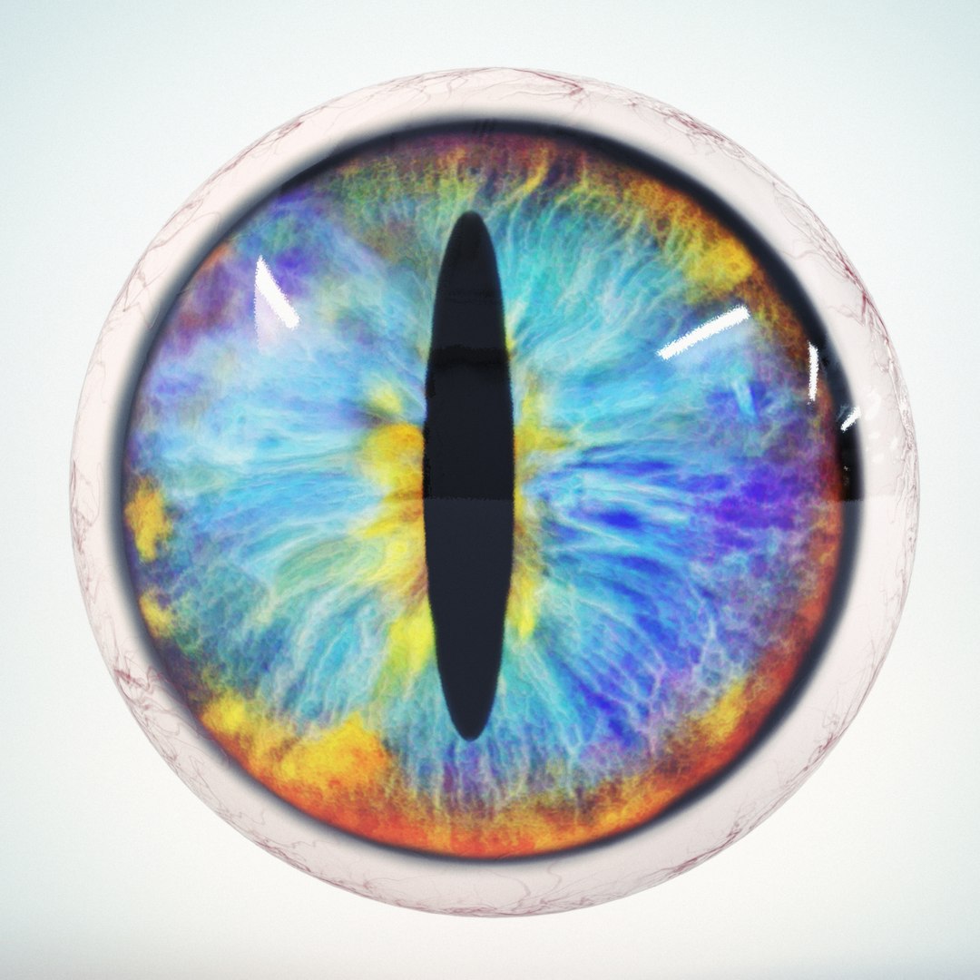 3D Cat Eye - TurboSquid 1427851