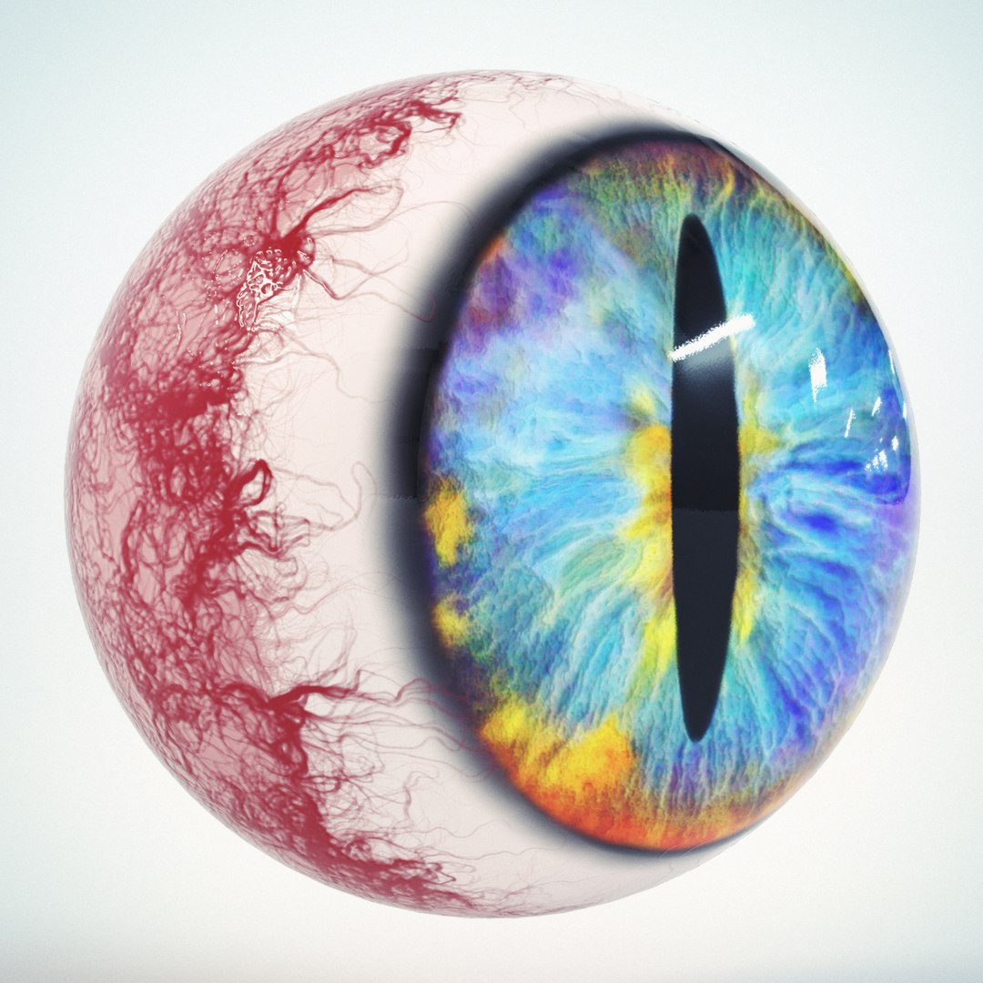 3D Cat Eye - TurboSquid 1427851