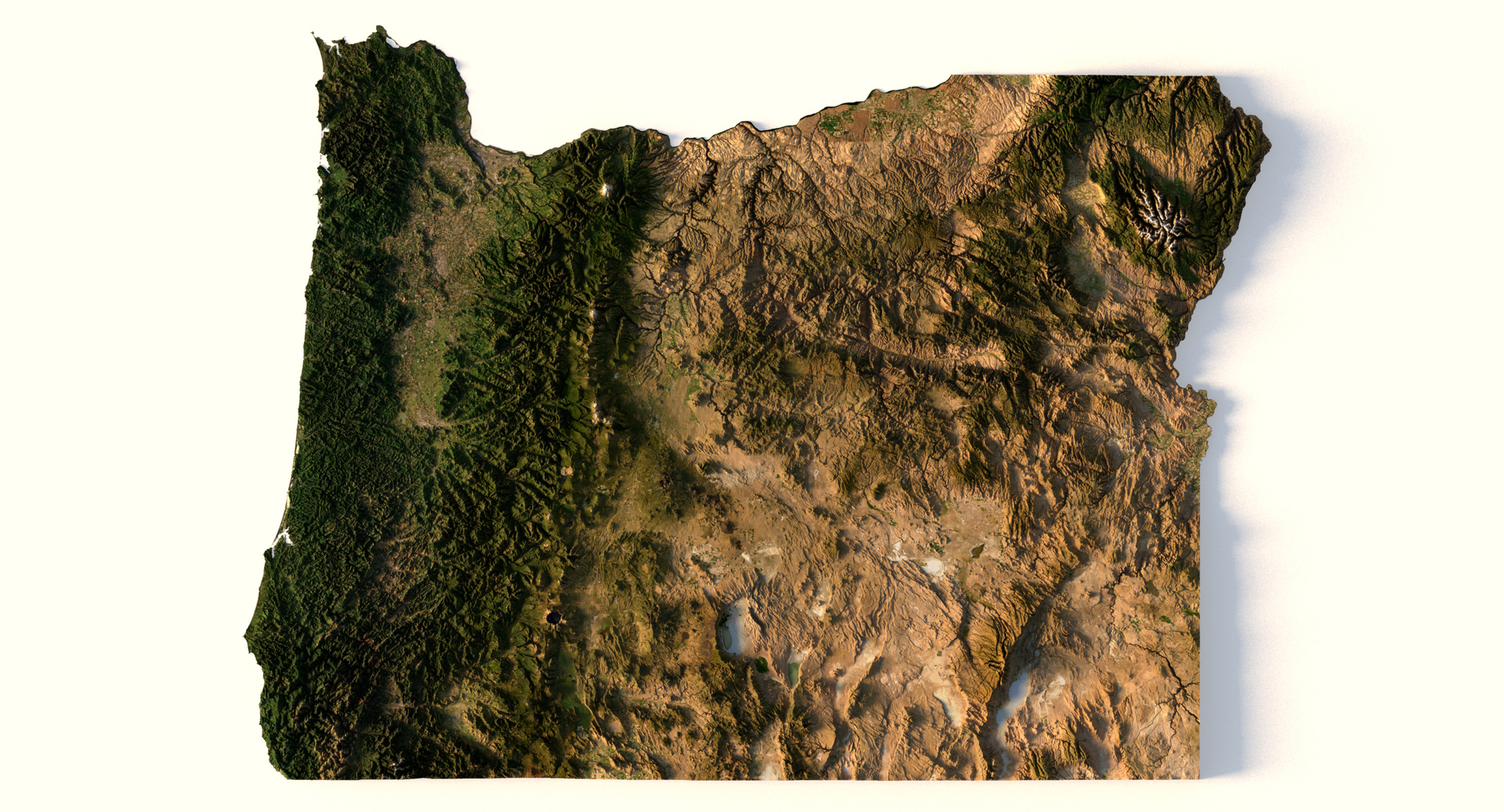 Mapa de relevo do modelo 3D de Oregon Modelo 3D - TurboSquid 1748604