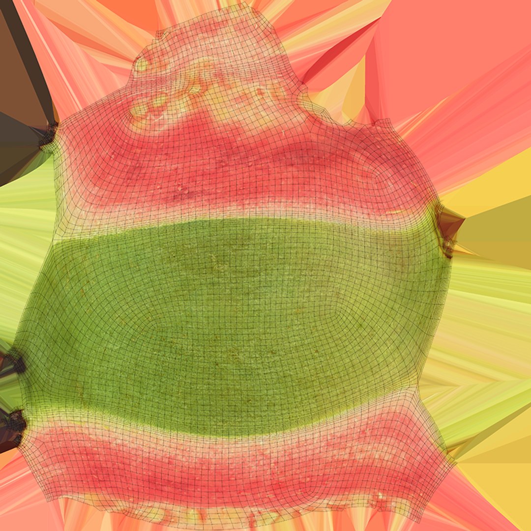 Slice Pink Guava 01 3D - TurboSquid 2425133