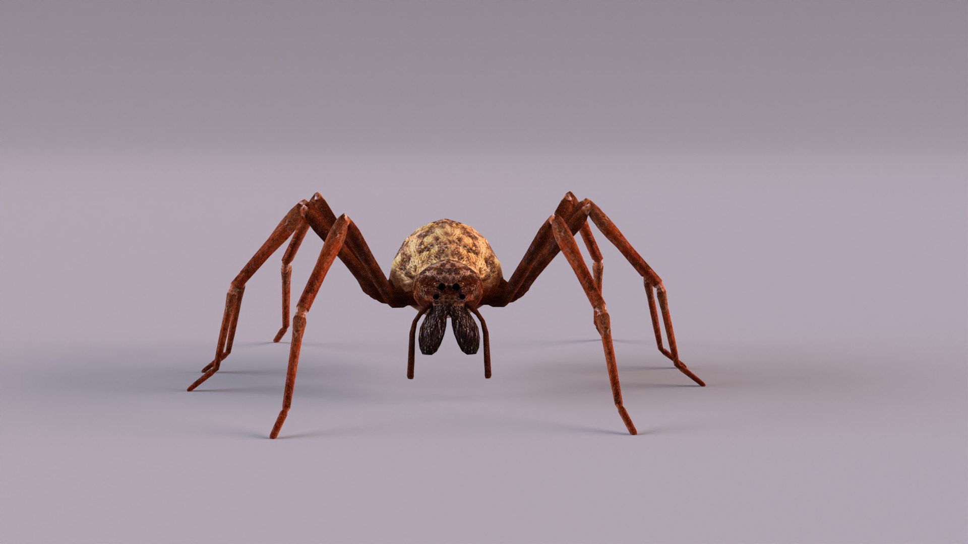 3D House Spider - TurboSquid 1936892