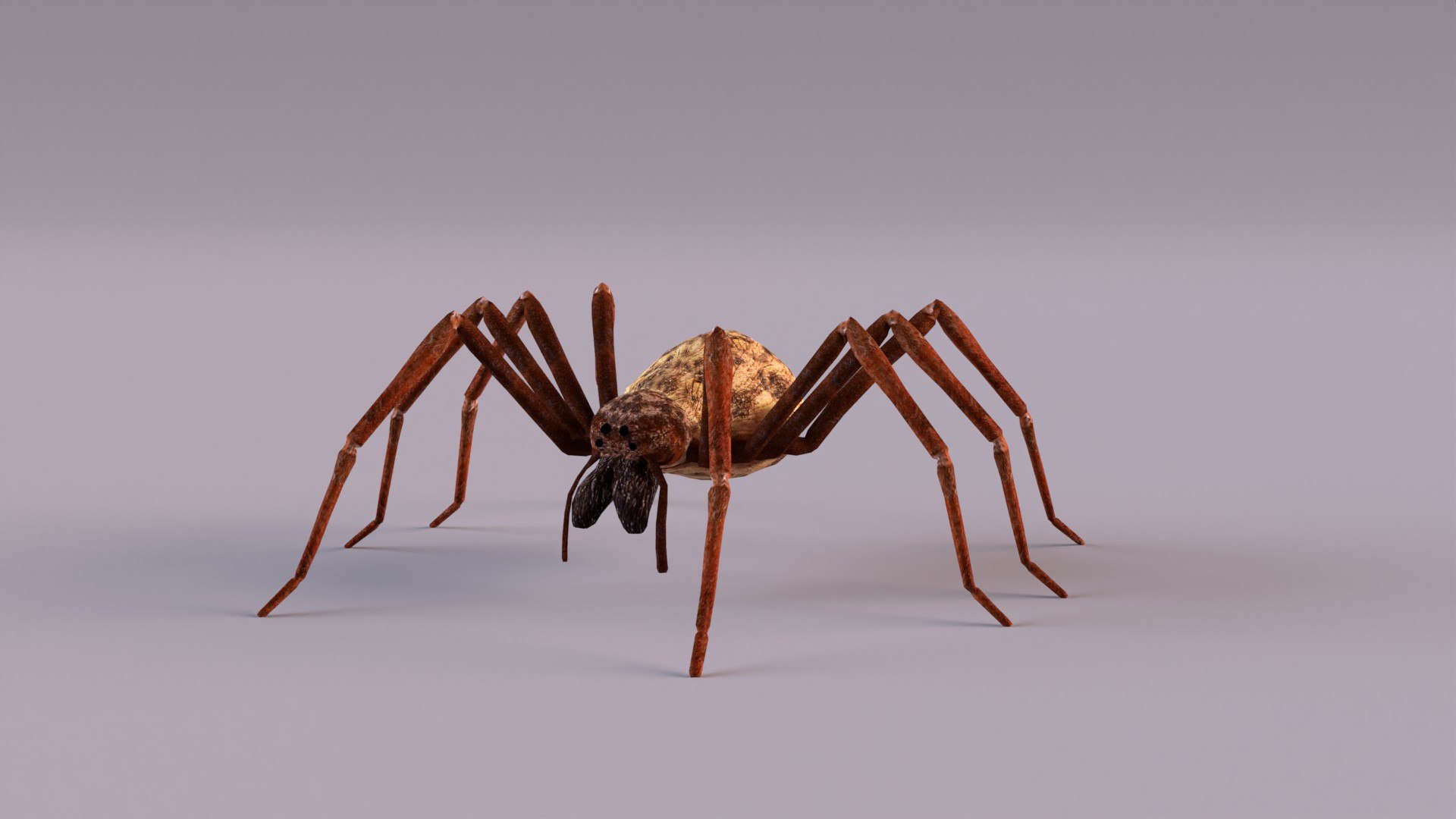 3D House Spider - TurboSquid 1936892