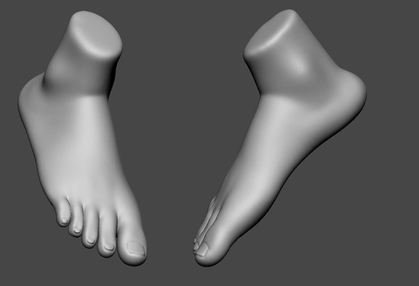 Foot Zbrush2022 File And Low Poly And High Poly 3D Model 3D Model ...