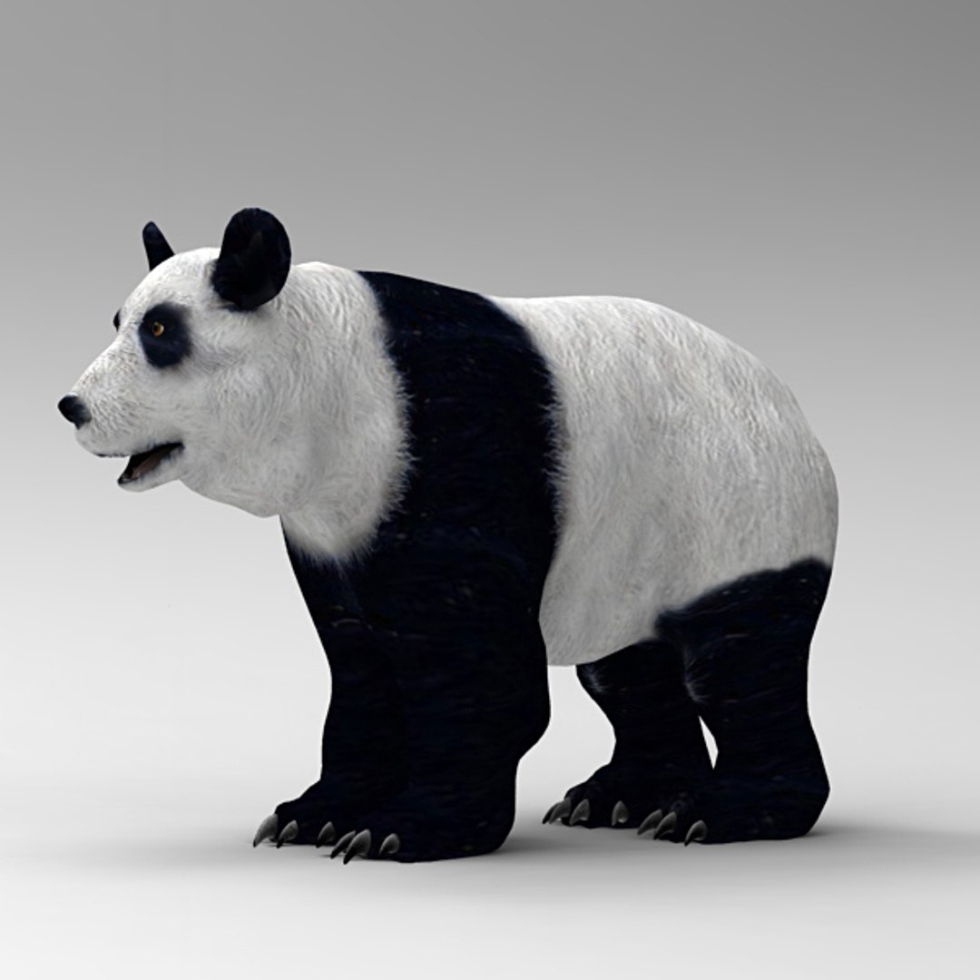 hand panda 3d model