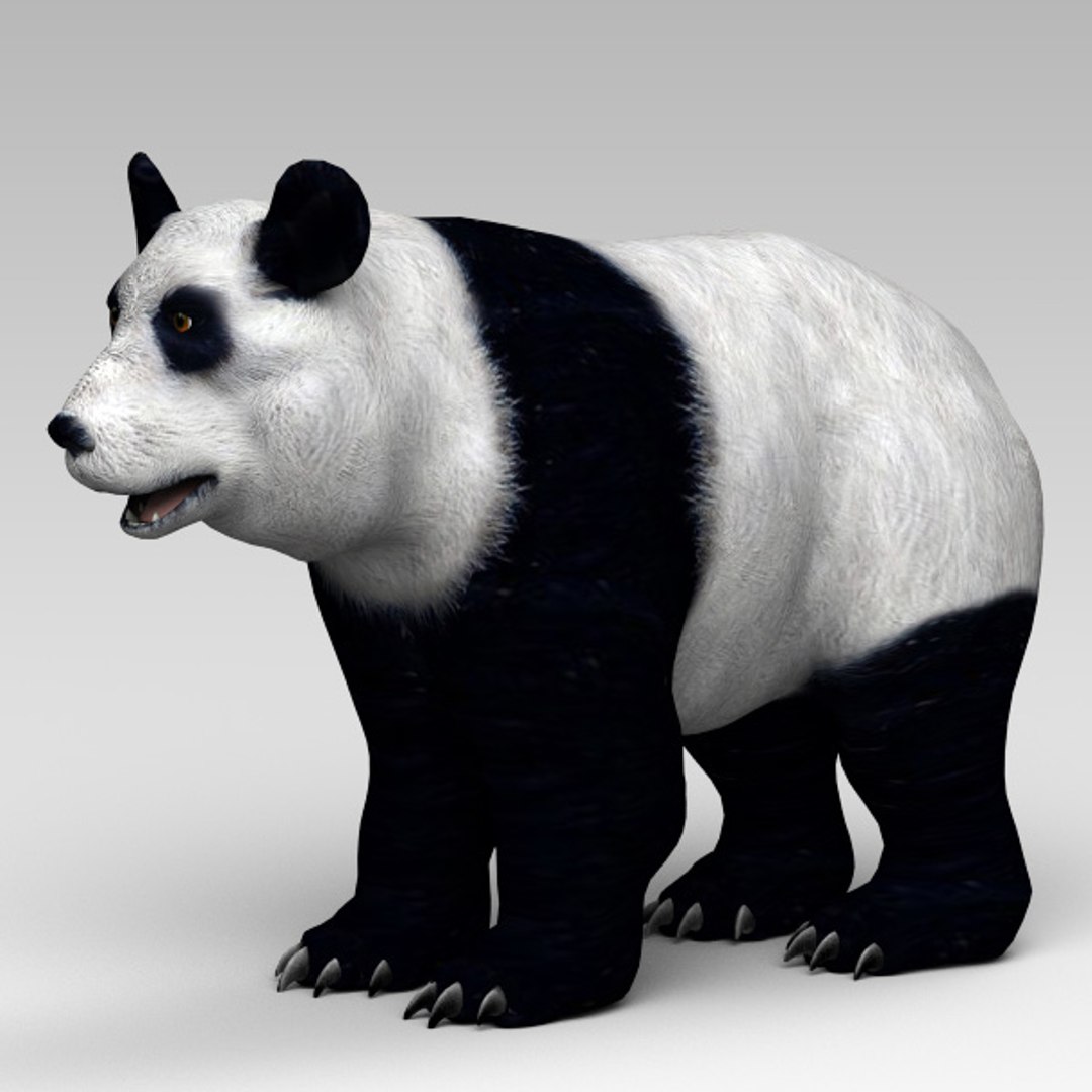 hand panda 3d model