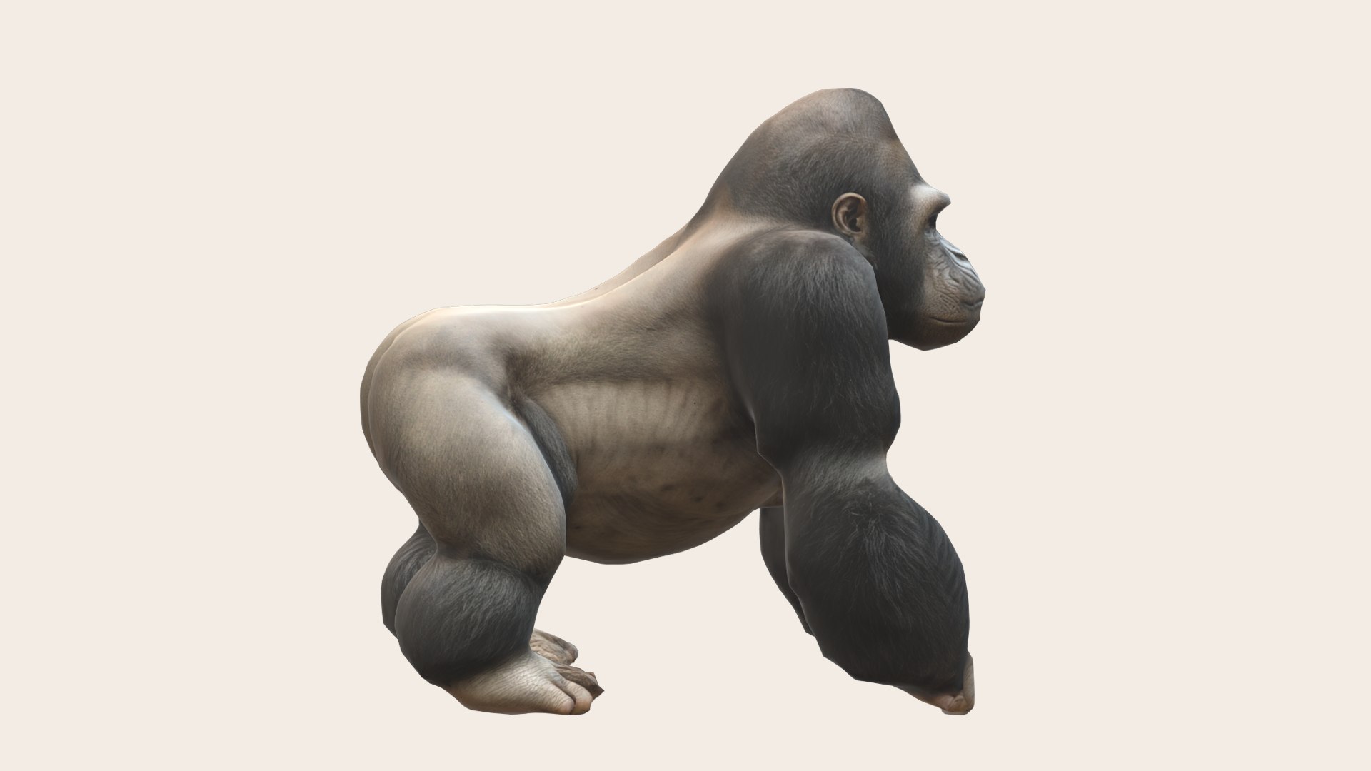 Gorilla 3D Model - TurboSquid 2231897
