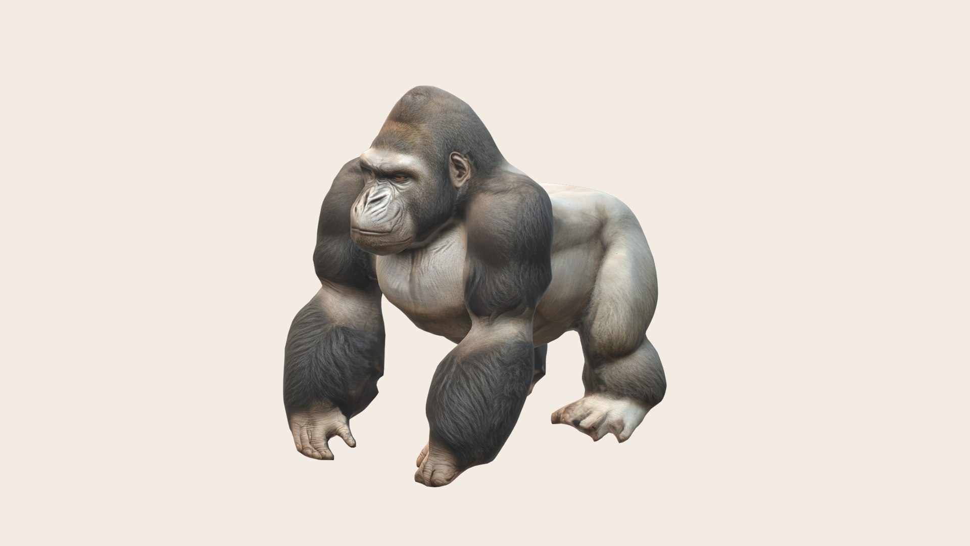 Gorilla 3D Model - TurboSquid 2231897