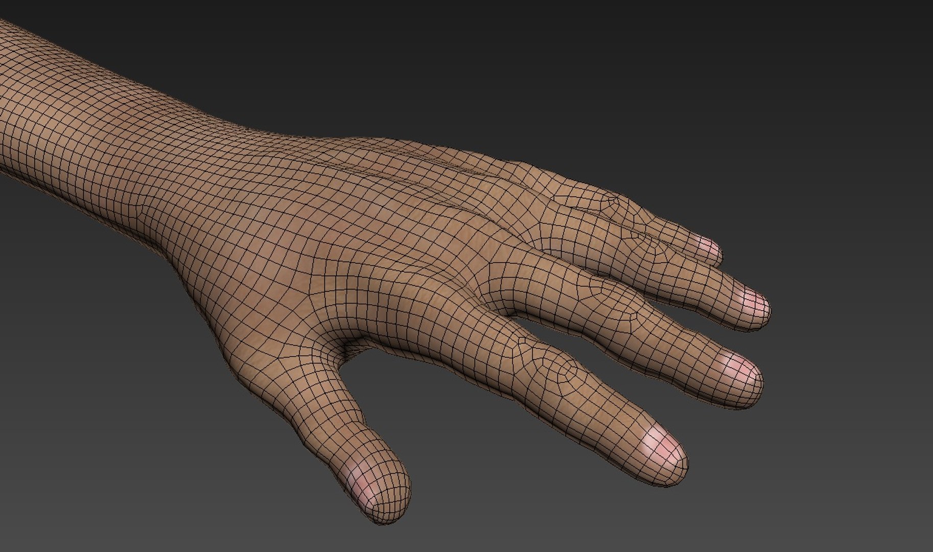 Realistic Hand 3d Model