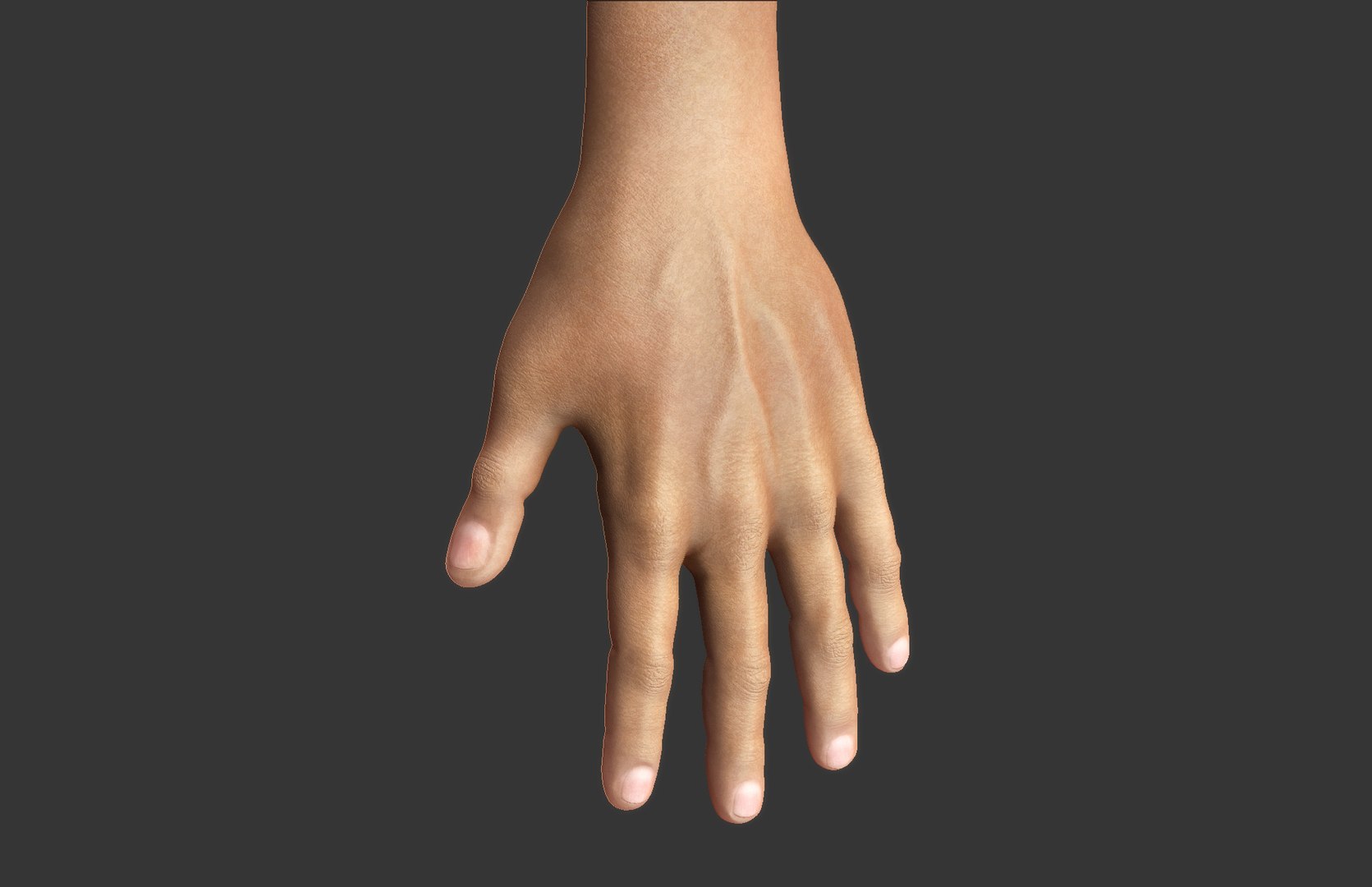 Realistic Hand 3d Model
