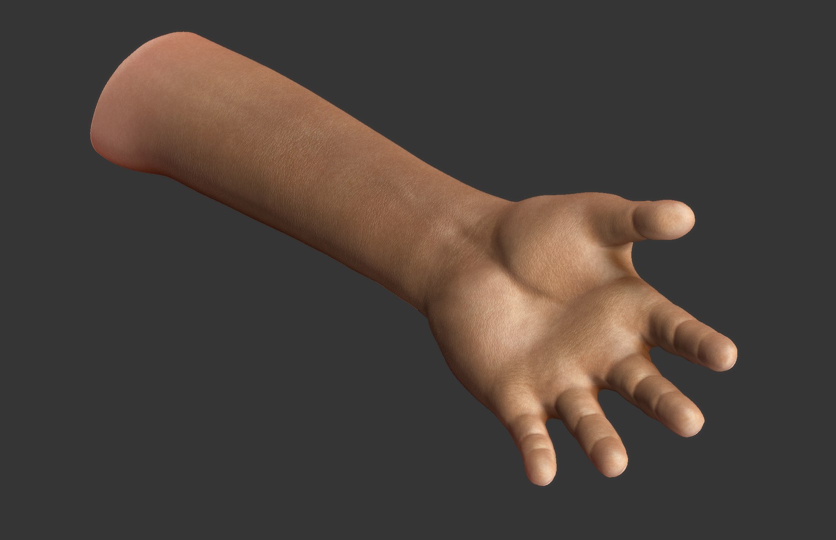 Realistic Hand 3d Model