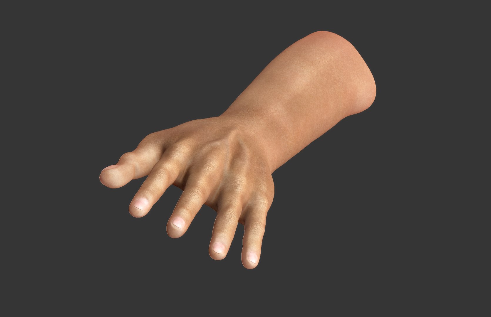 Realistic Hand 3d Model