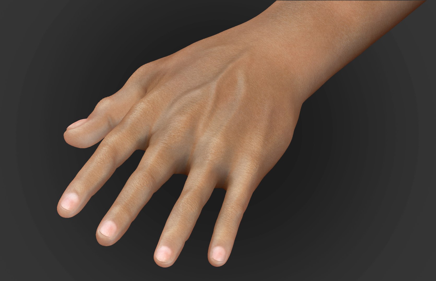 Realistic Hand 3d Model