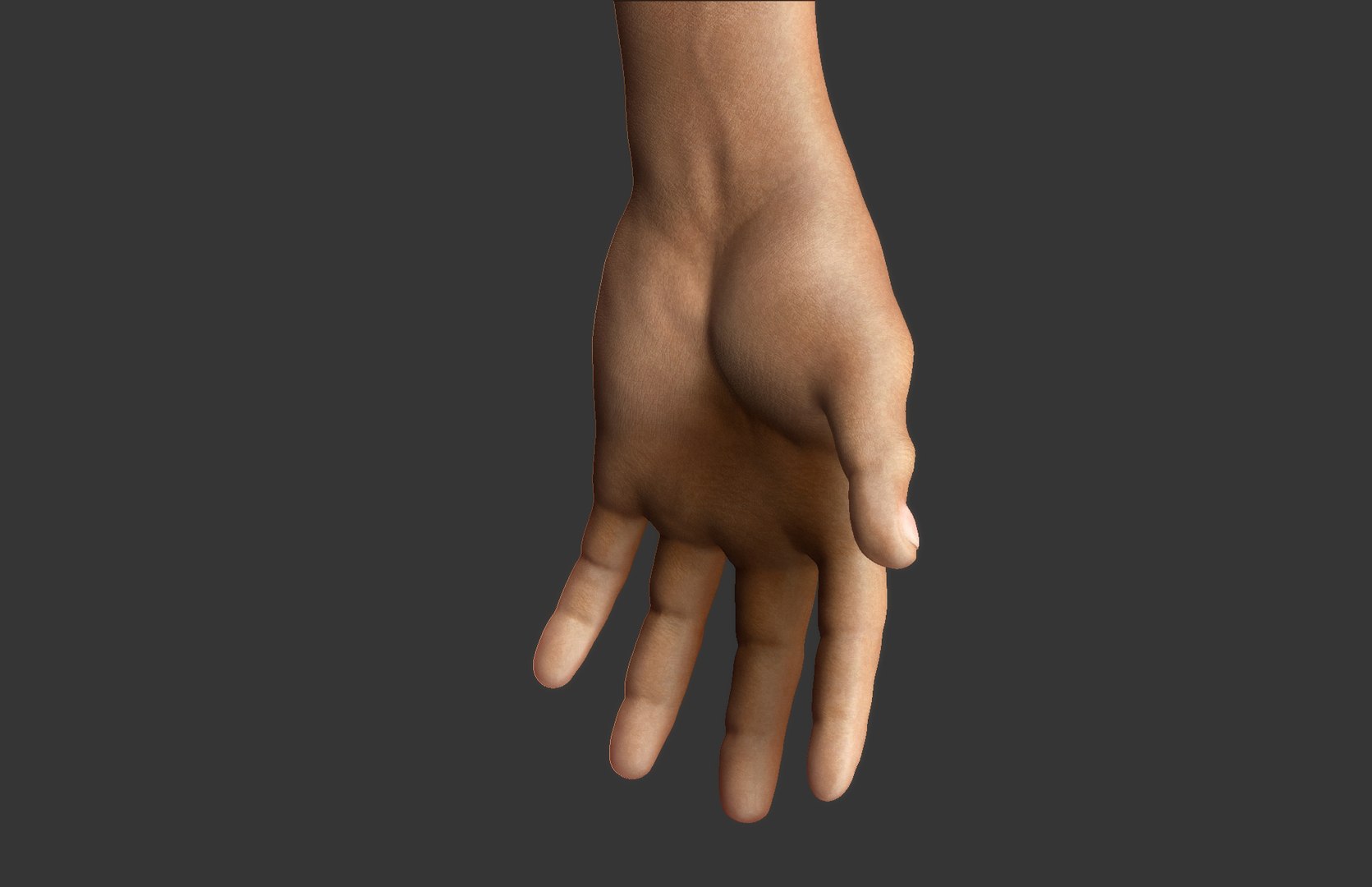 Realistic Hand 3d Model