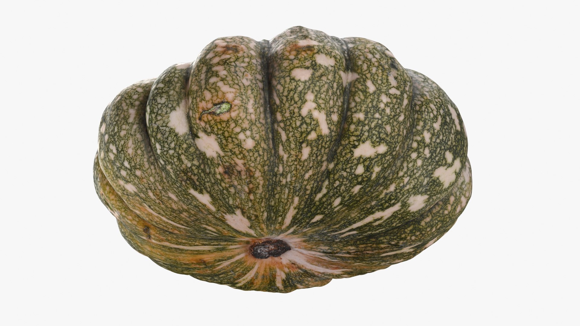 Asian Pumpkin Whole Model - TurboSquid 2235645