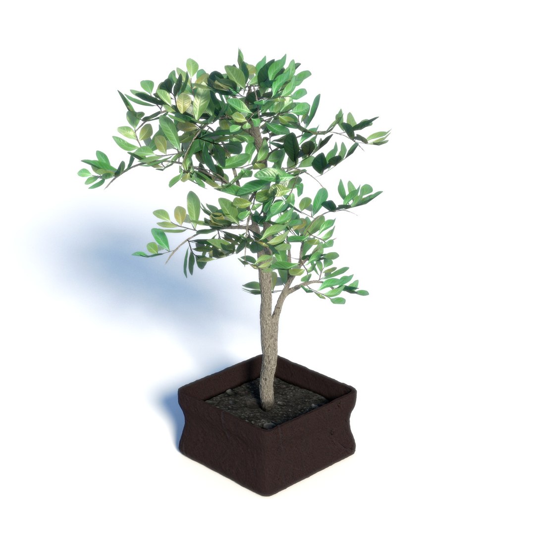 3d Model Tree Pot
