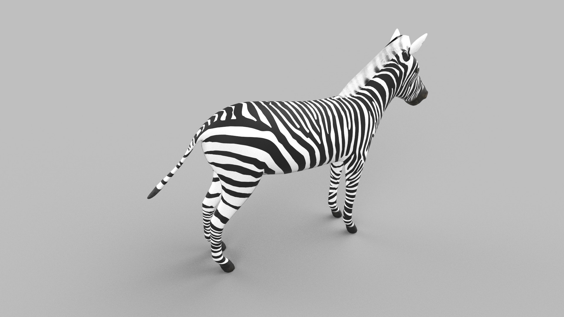 3D Zebra Model - TurboSquid 1944819
