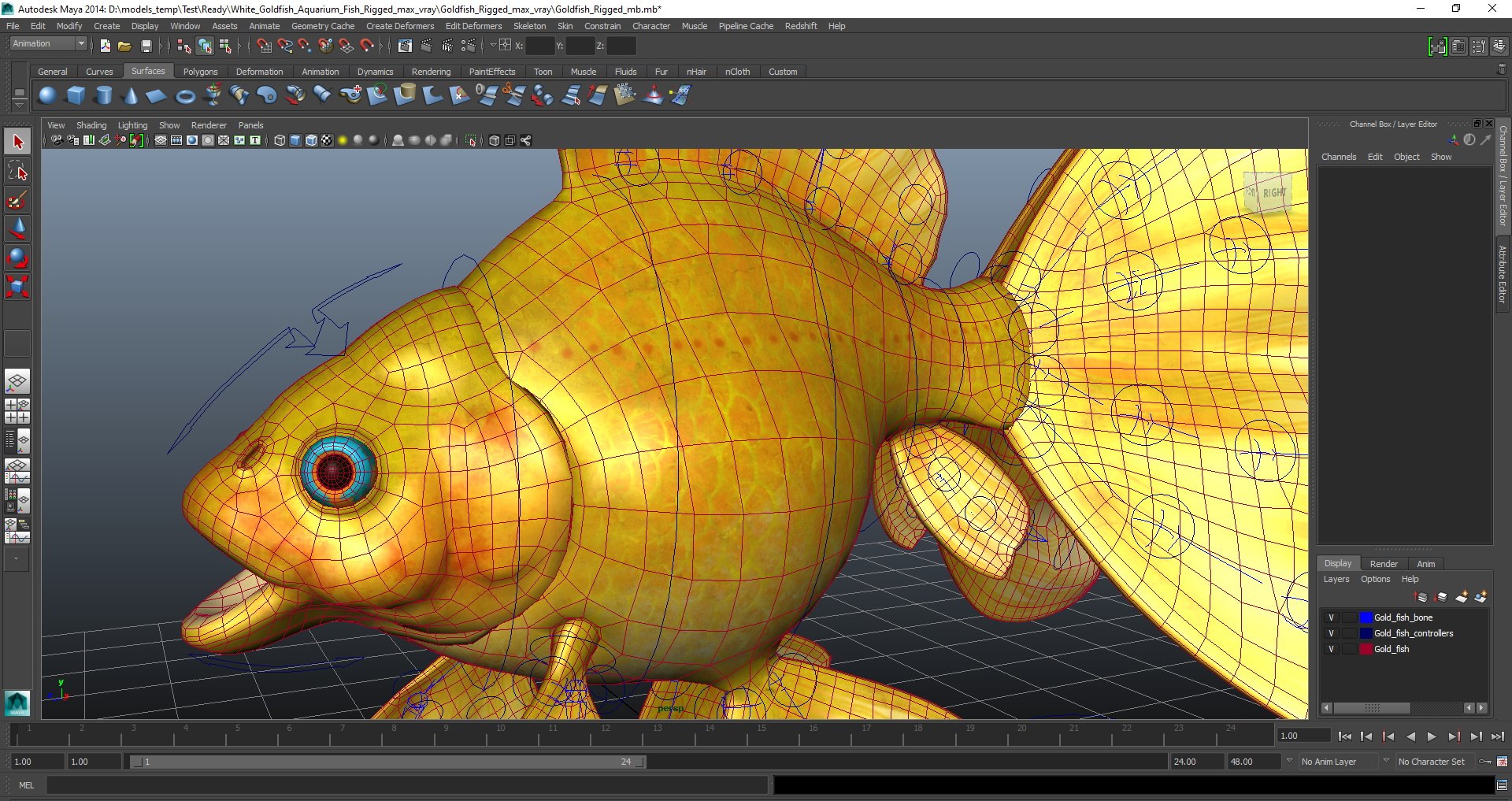 3D model Goldfish Rigged for Maya - TurboSquid 1763663
