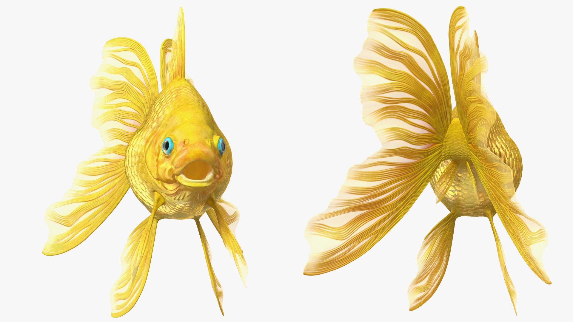 3D model Goldfish Rigged for Maya - TurboSquid 1763663
