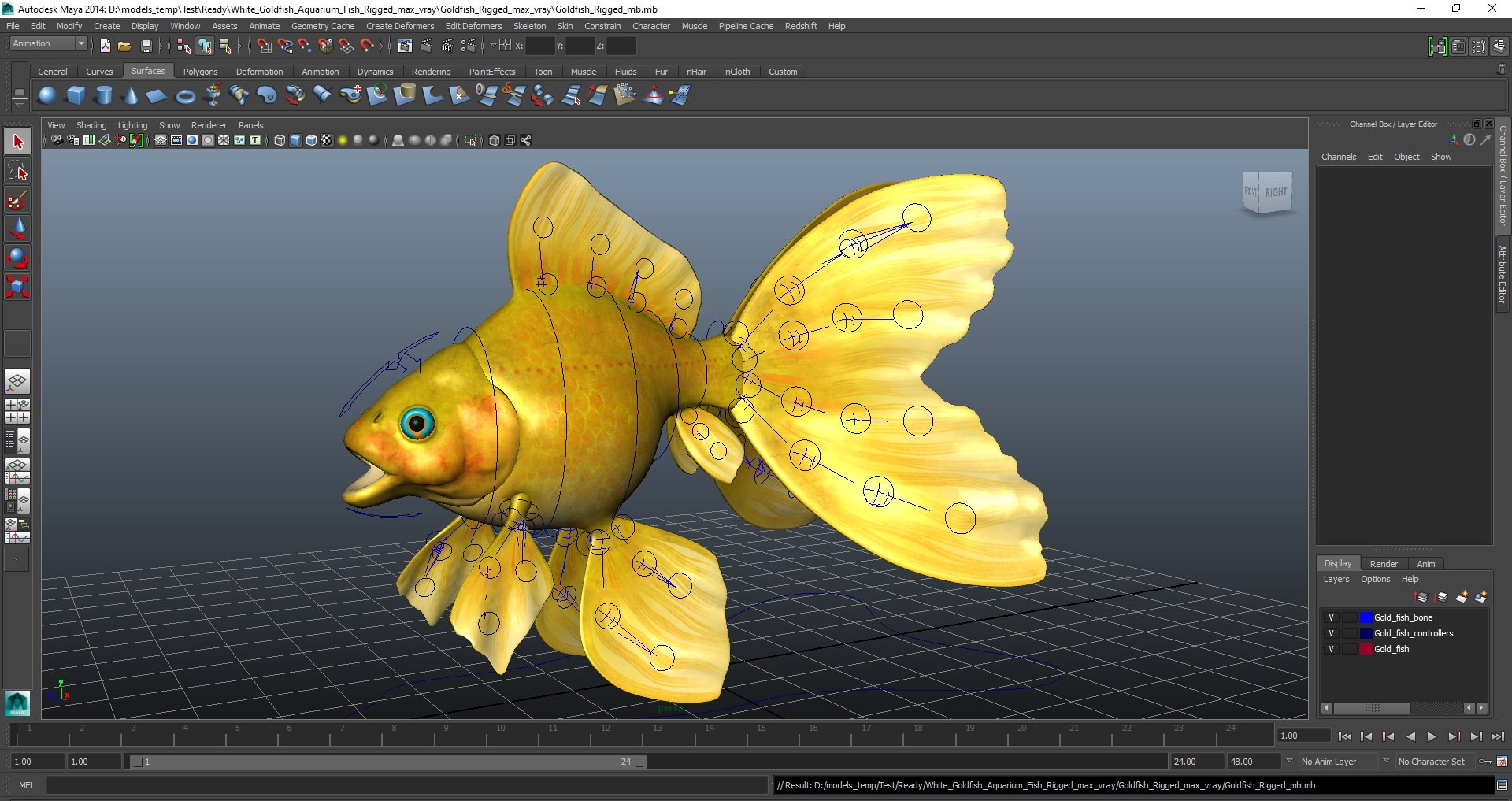 3D model Goldfish Rigged for Maya - TurboSquid 1763663