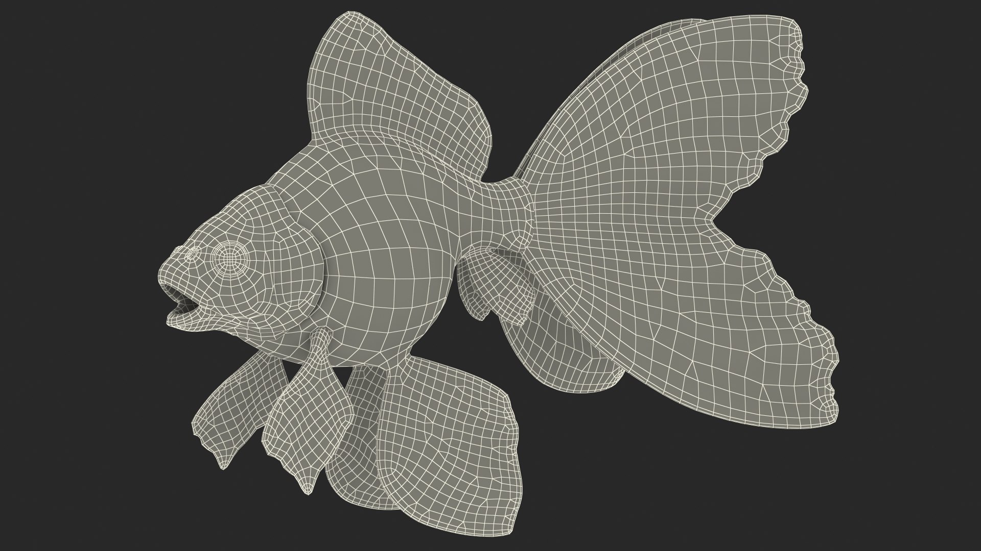 3D model Goldfish Rigged for Maya - TurboSquid 1763663
