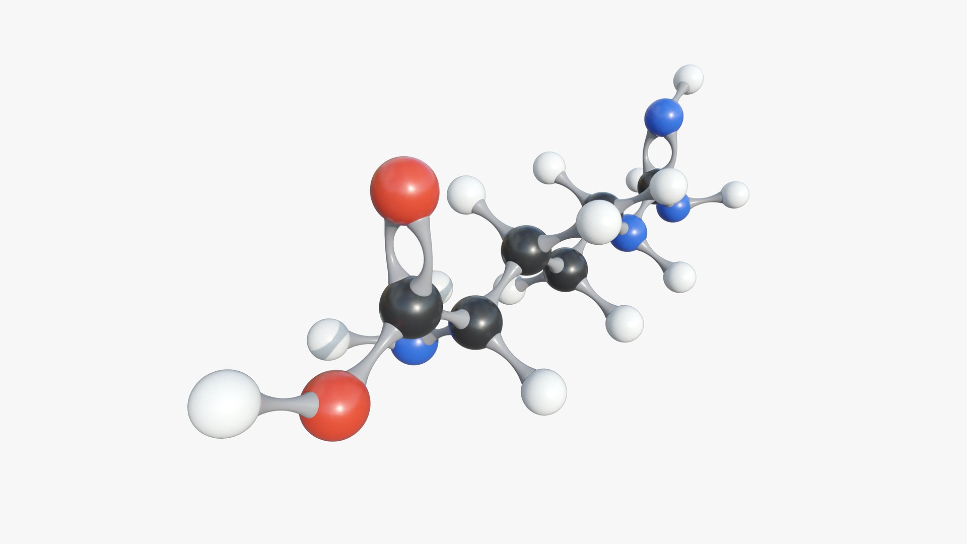 3D Arginine Molecule With PBR 4K 8K - TurboSquid 1941880