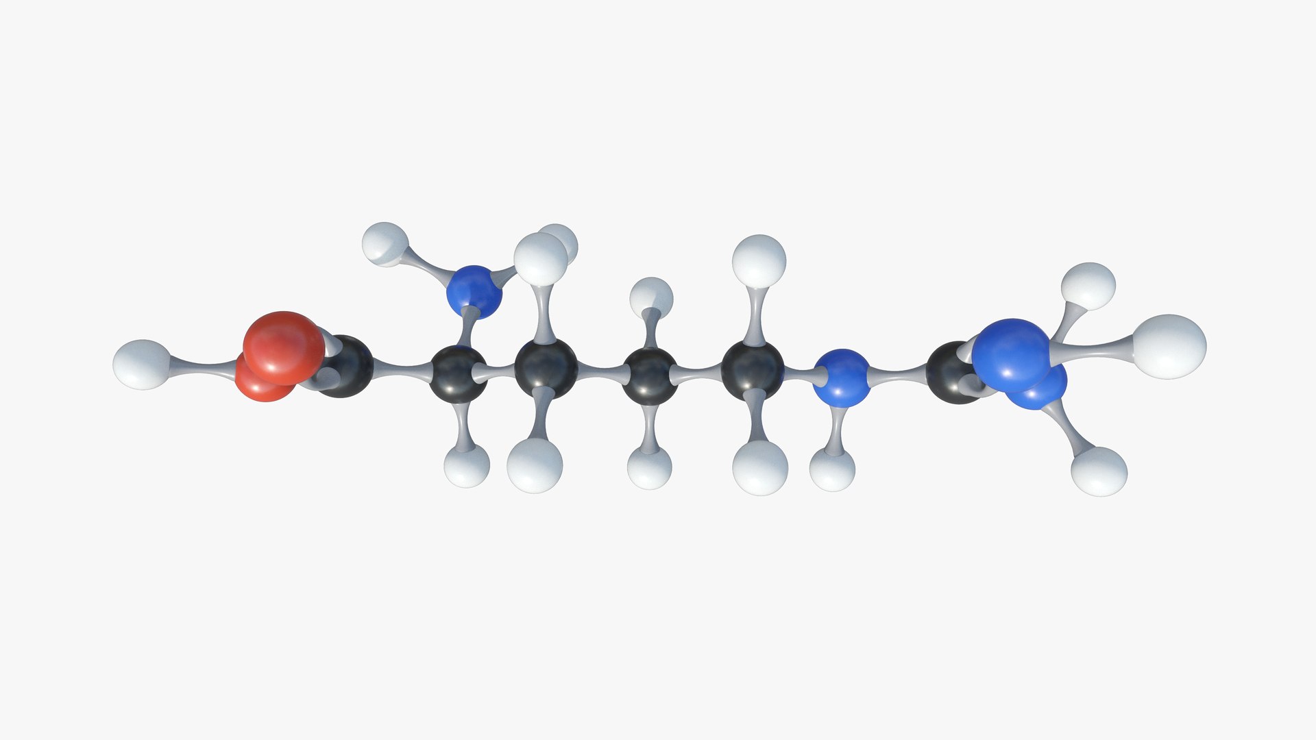 3D Arginine Molecule With PBR 4K 8K - TurboSquid 1941880