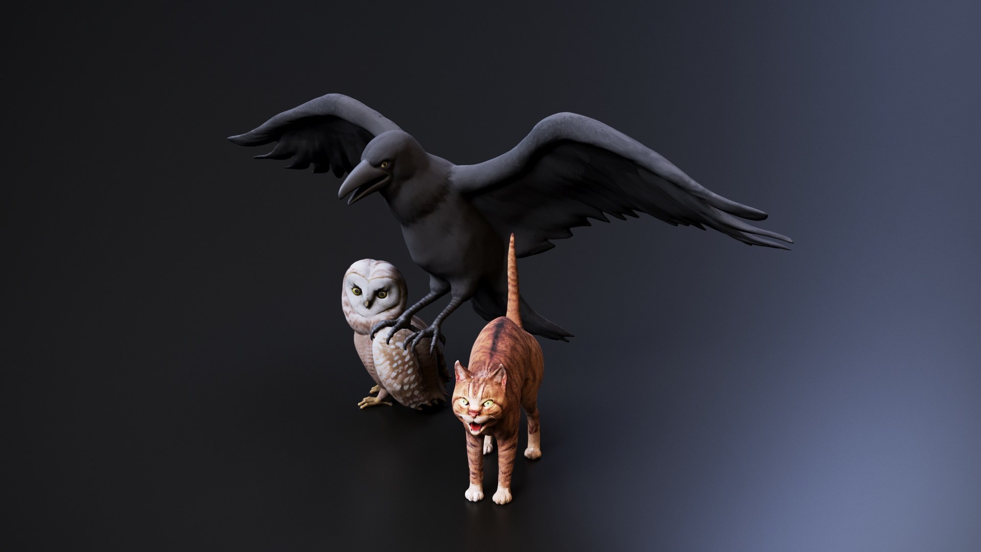 Cat Crow Owl 3D Model 3D Model - TurboSquid 2087072