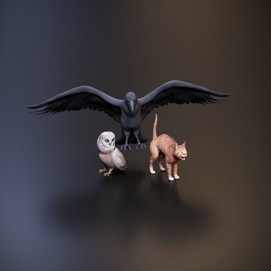Cat Crow Owl 3D Model 3D Model - TurboSquid 2087072