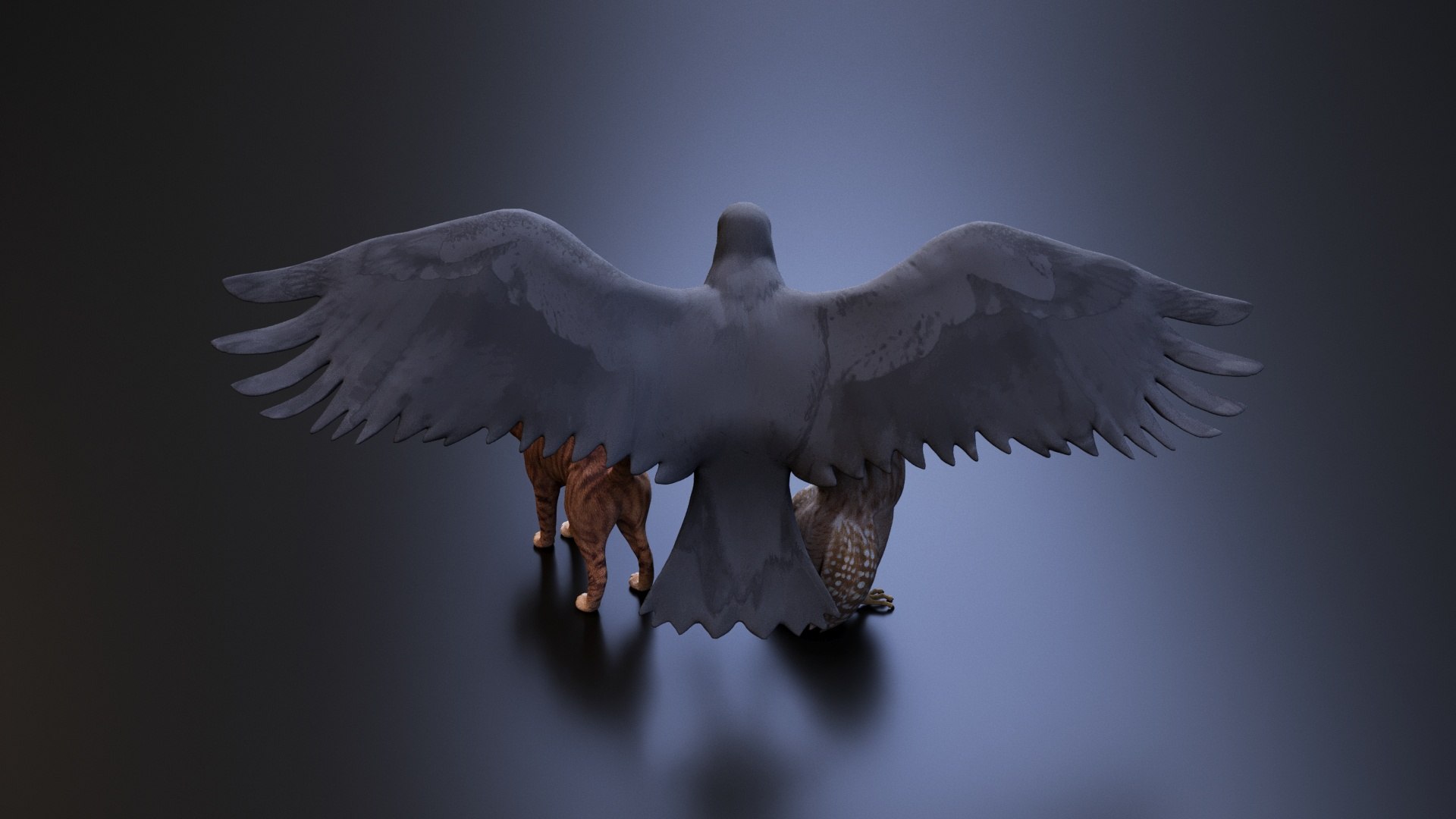 Cat Crow Owl 3D Model 3D Model - TurboSquid 2087072