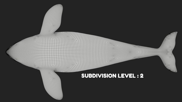 Killer whale 3D model - TurboSquid 1689740