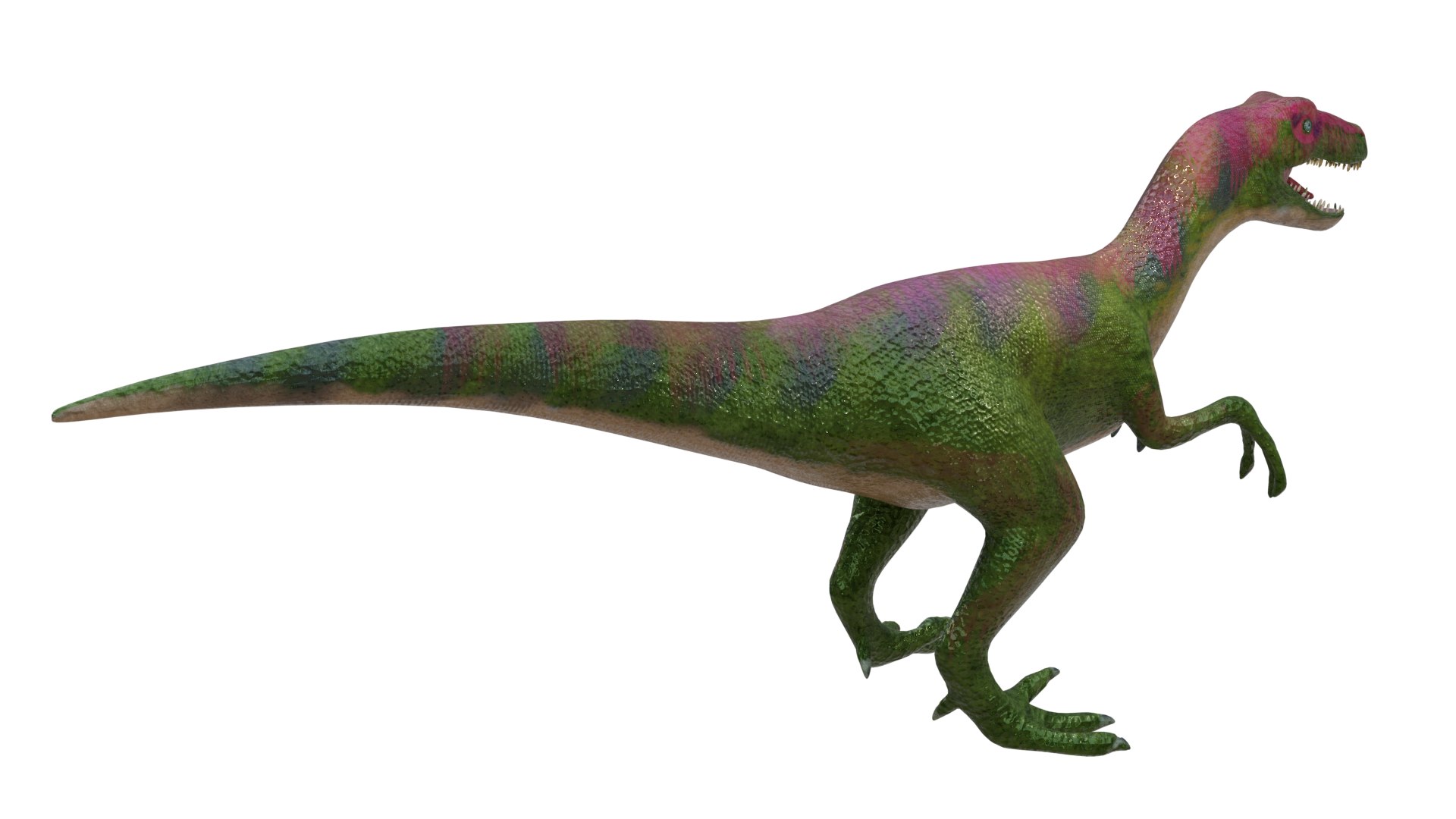 3D Compsognathus - TurboSquid 1979188