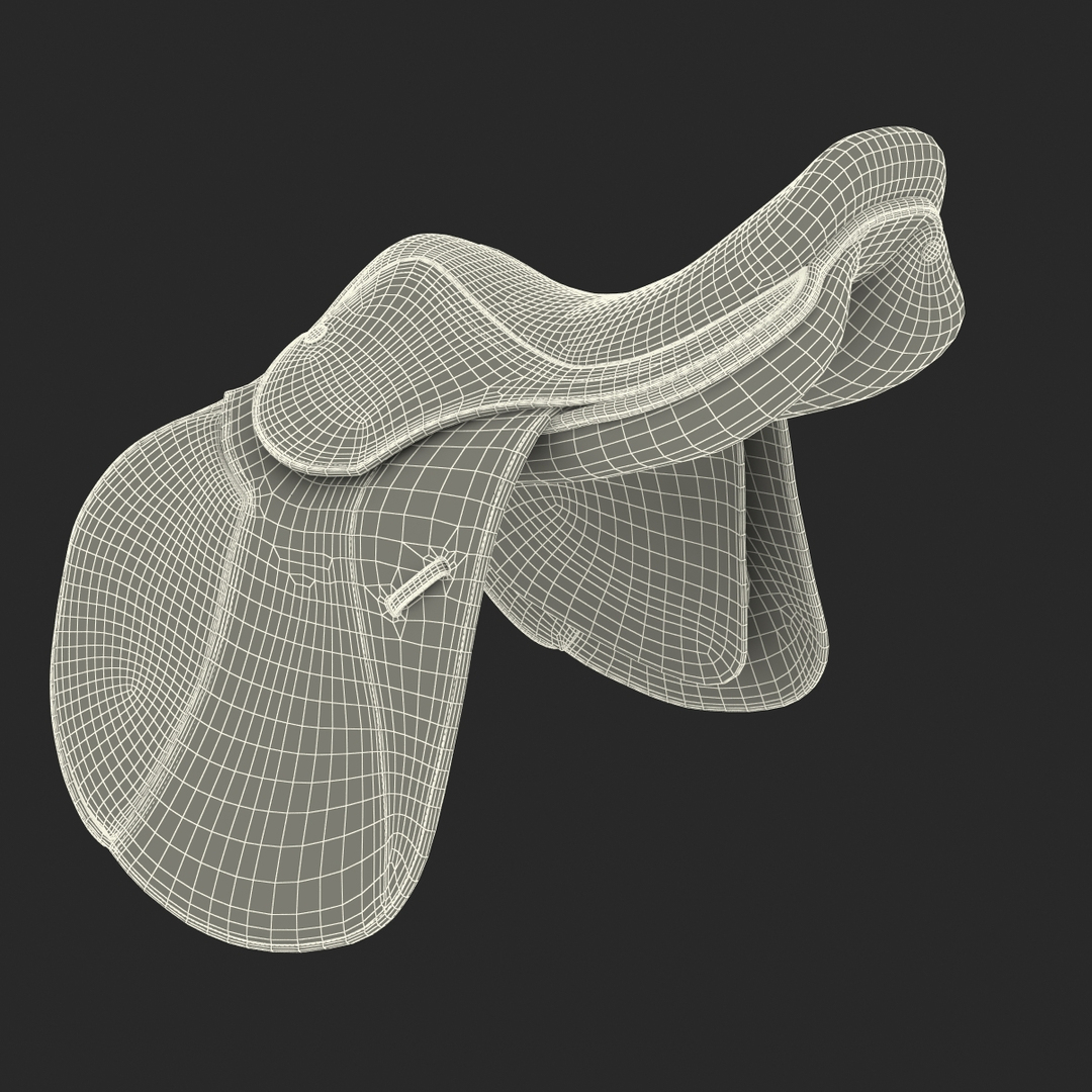 Saddle 2 3d Model