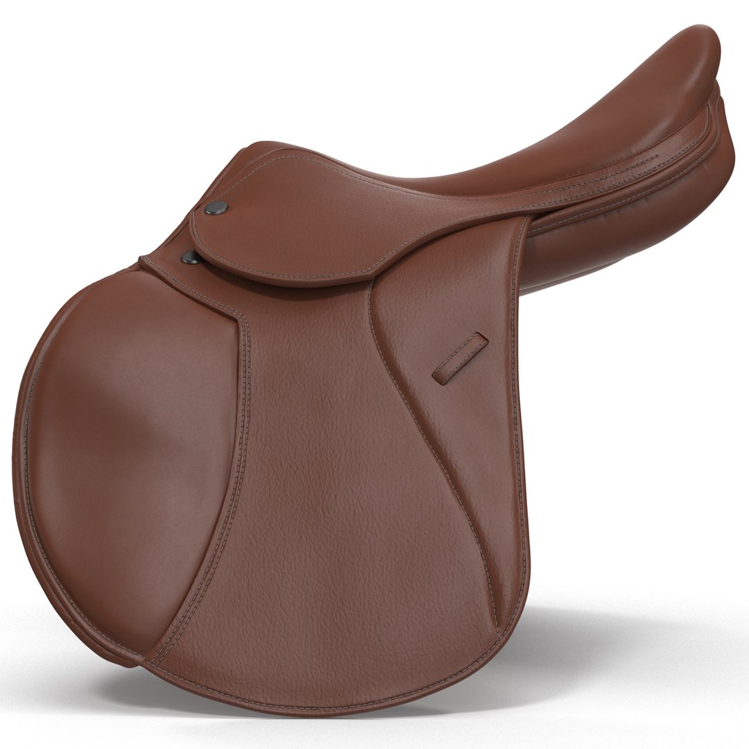 Saddle 2 3d Model