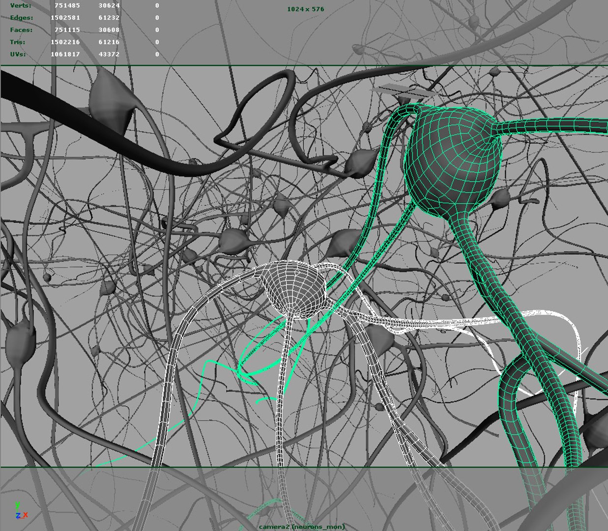 3d Neuron Nerve Synapses