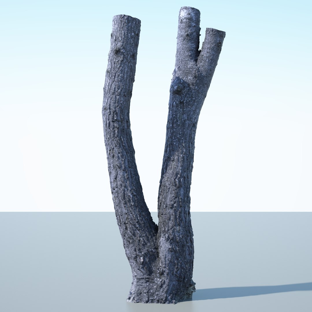 Tree trunk - 3D model - TurboSquid 1442636