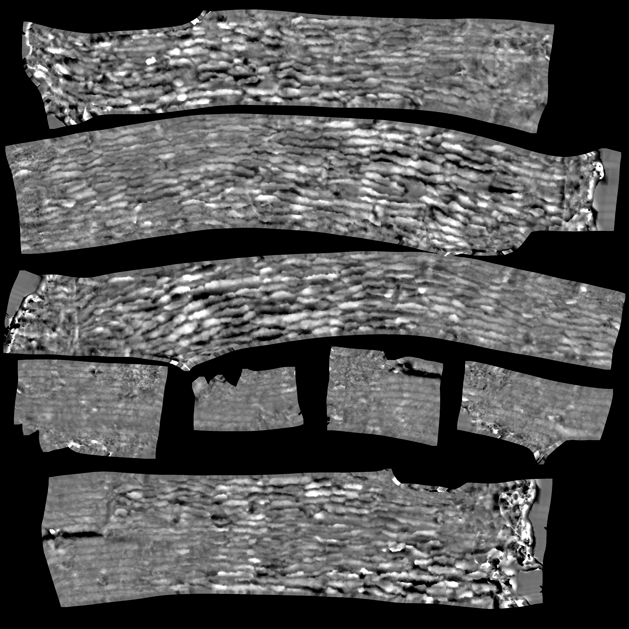 Tree trunk - 3D model - TurboSquid 1442636