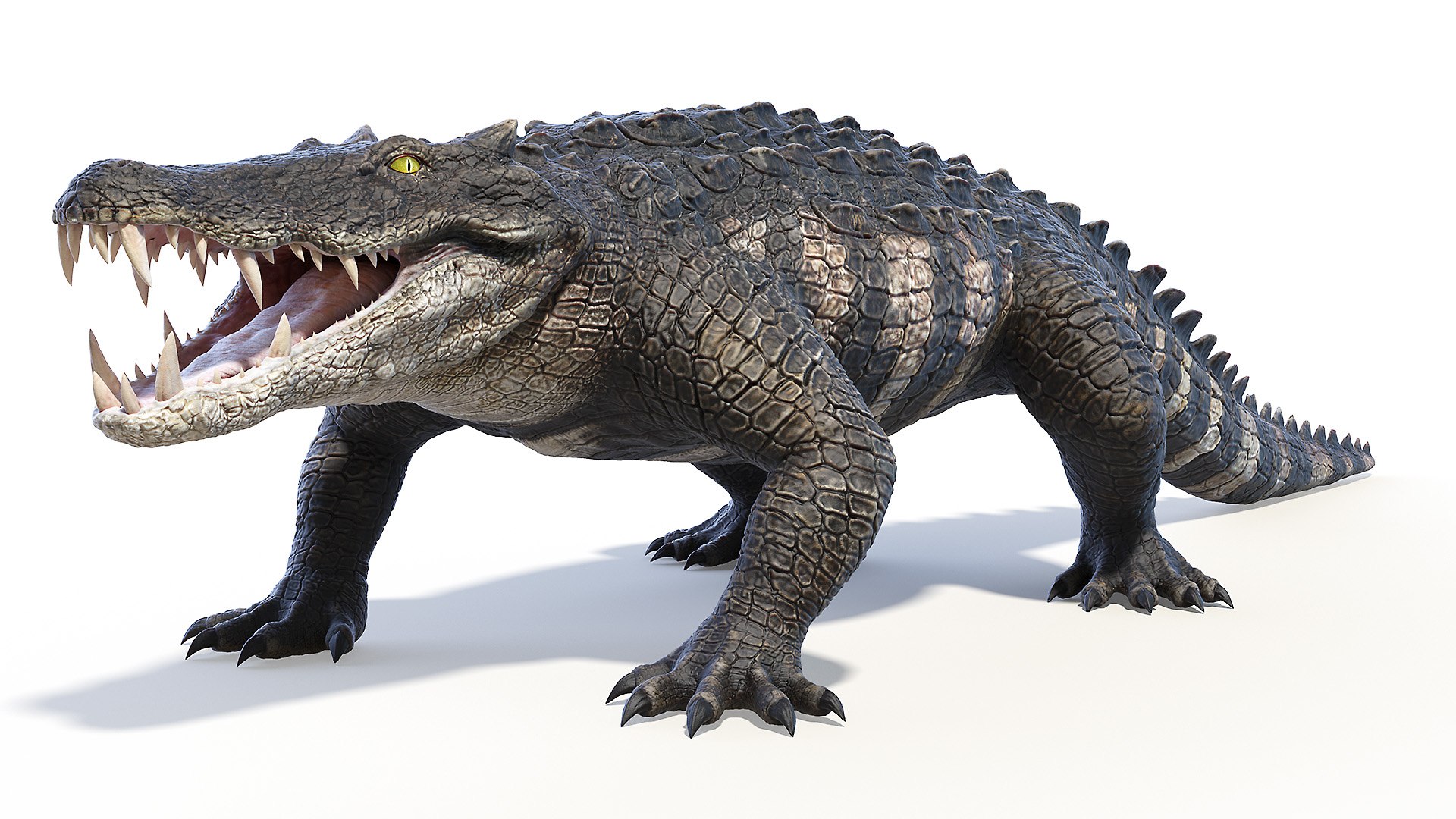 Kaprosuchus Static3Dモデル - TurboSquid 1899759