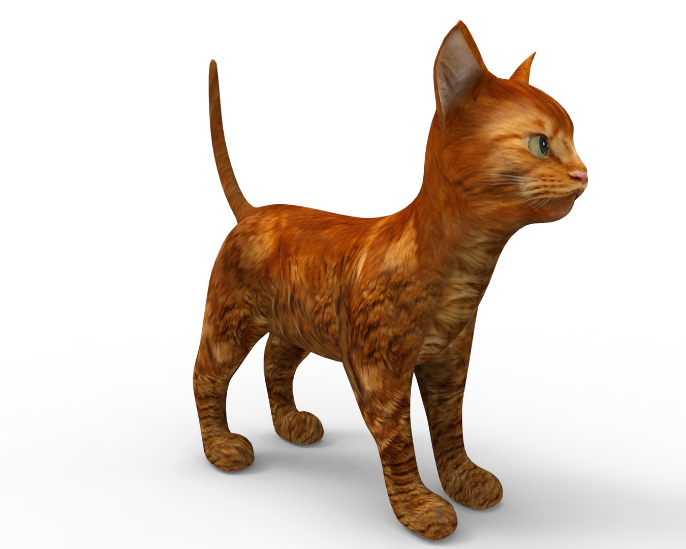 Cute Cat 3D Model - TurboSquid 1193834