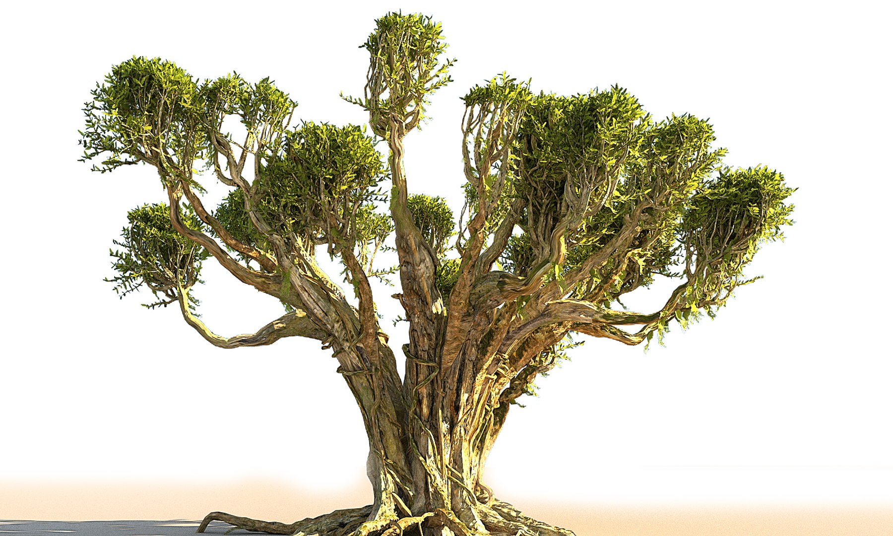 Japanese Tree Forest 3D Model - TurboSquid 1377899