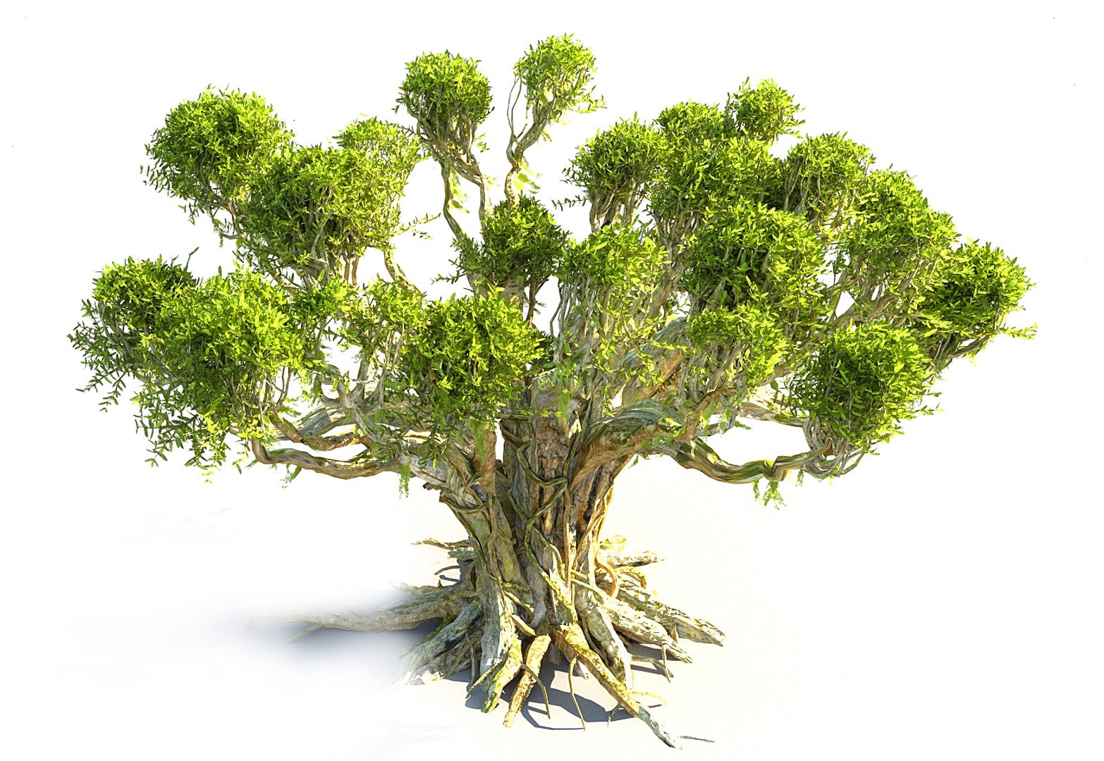 Japanese Tree Forest 3D Model - TurboSquid 1377899