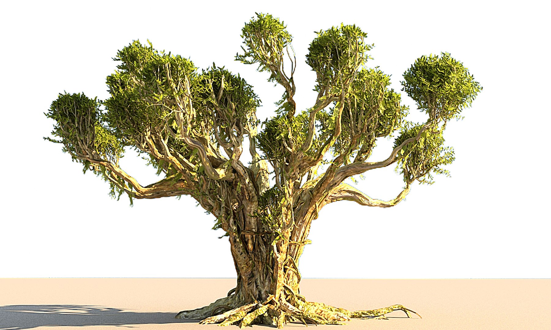 Japanese Tree Forest 3D Model - TurboSquid 1377899