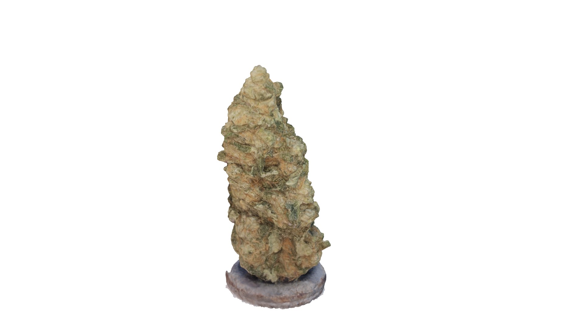 3D Cannabis Weed Bud Scan Model - TurboSquid 1734675