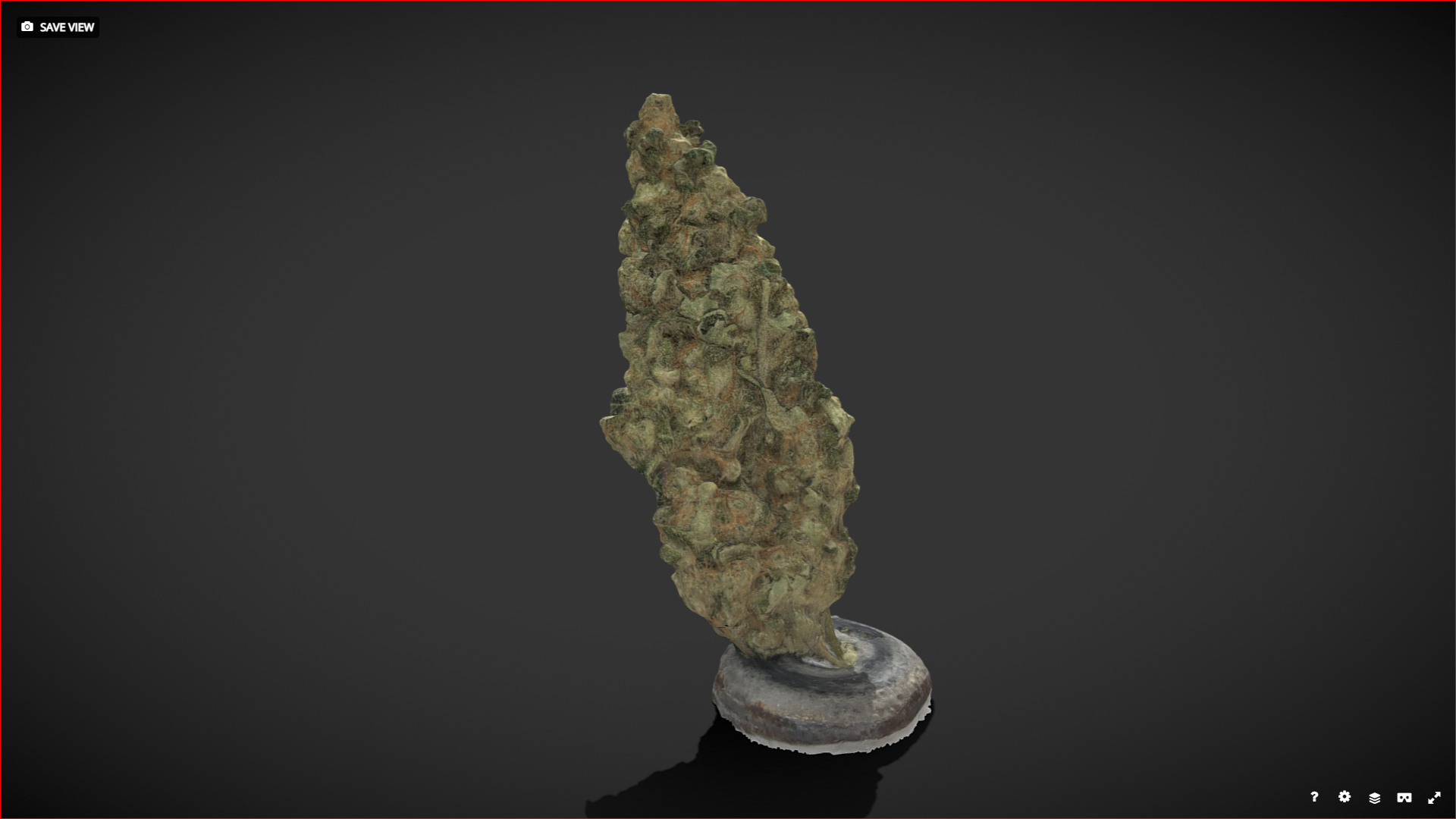 3D Cannabis Weed Bud Scan model - TurboSquid 1734675