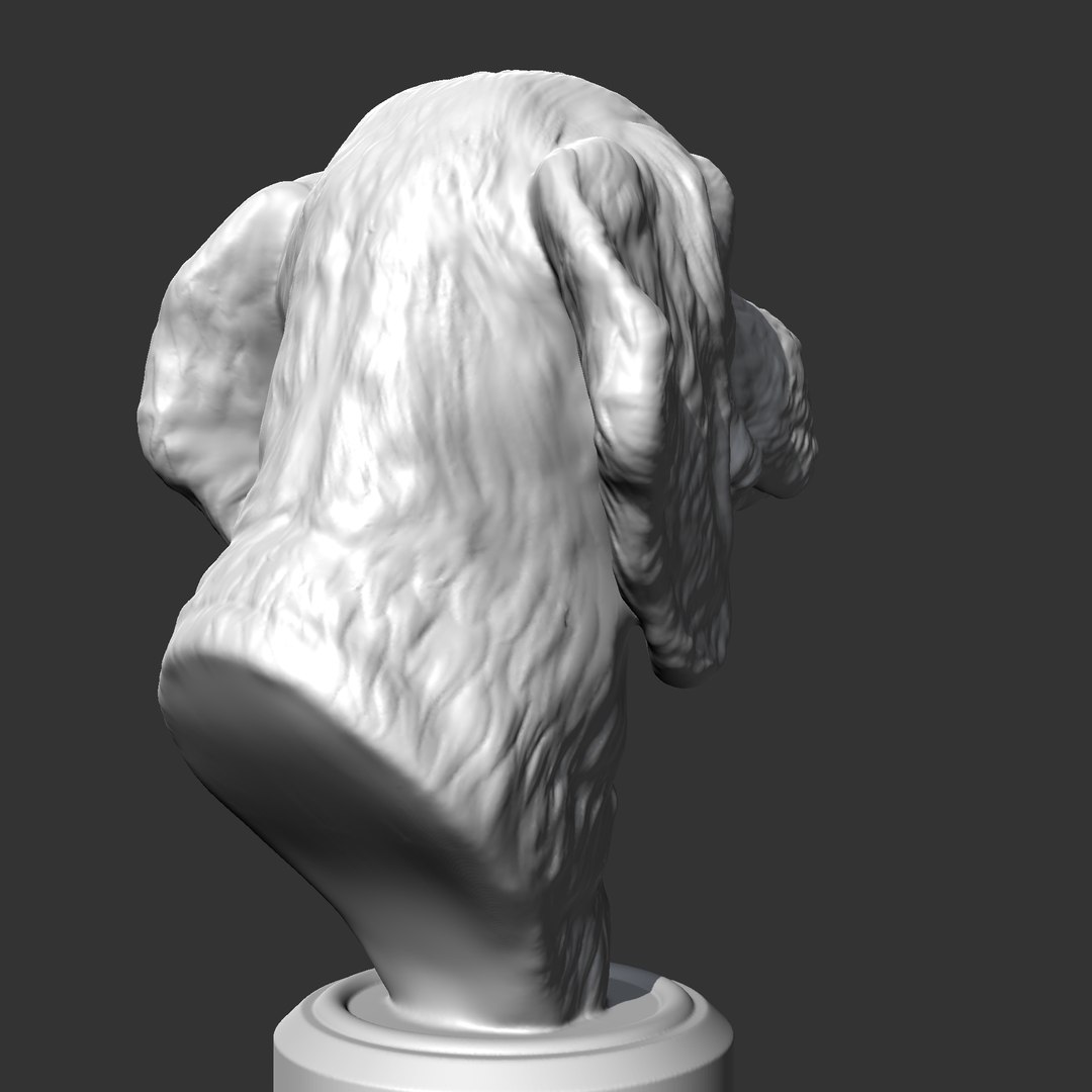 3D Beagle Head V2 AM04 Print - TurboSquid 2133620
