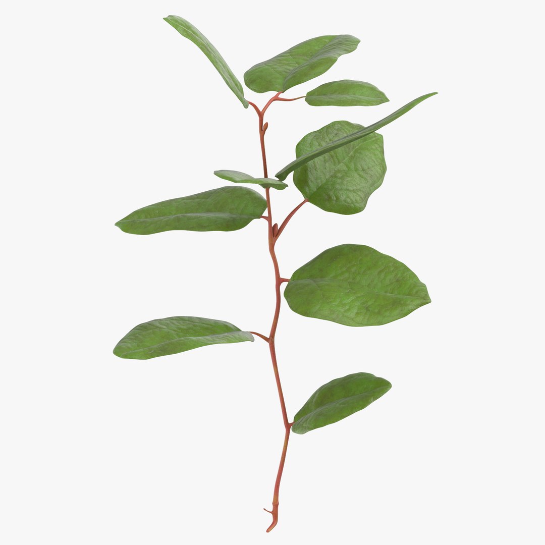 3D greenery set - TurboSquid 1449438