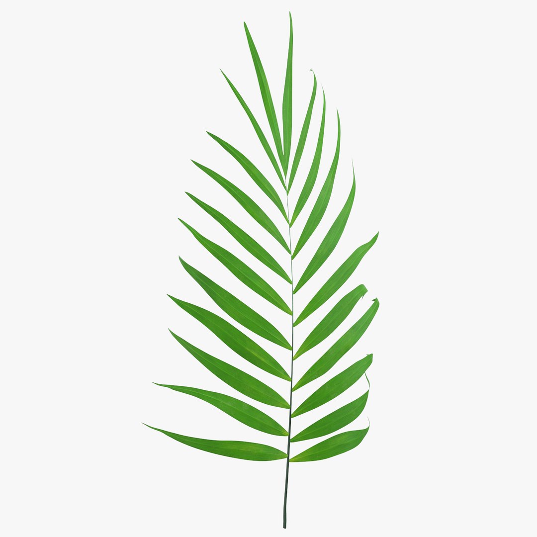 3D greenery set - TurboSquid 1449438